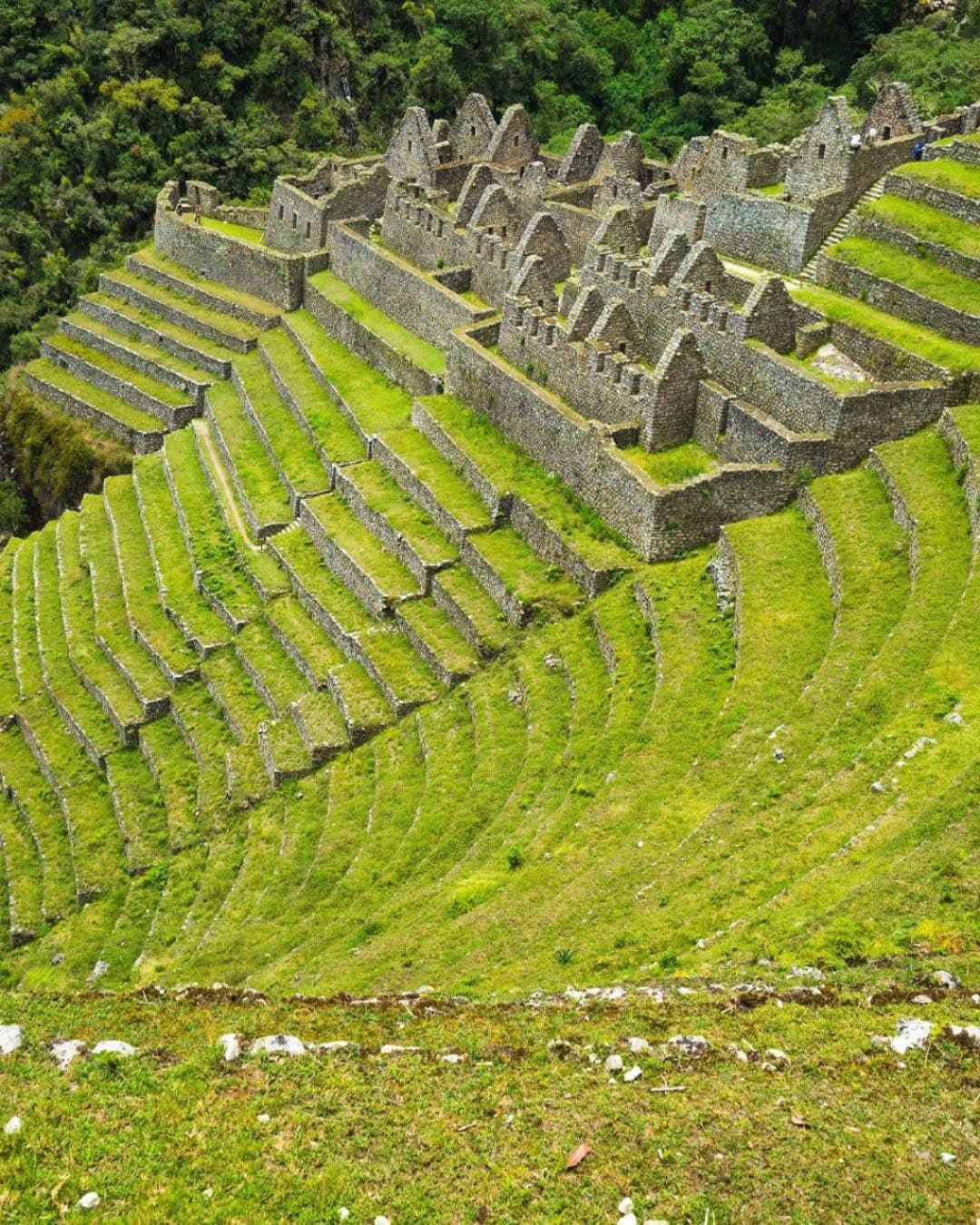 Peru Unforgettable + Short Inca Trail Tour 9 Days - Peru Travel Company